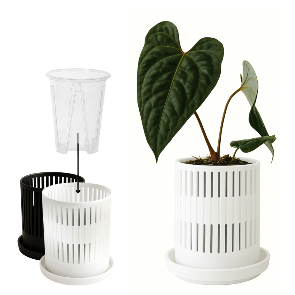 Pot Cover for Aroid Pots – Prevent Root Spiraling with Superior Airflow ...