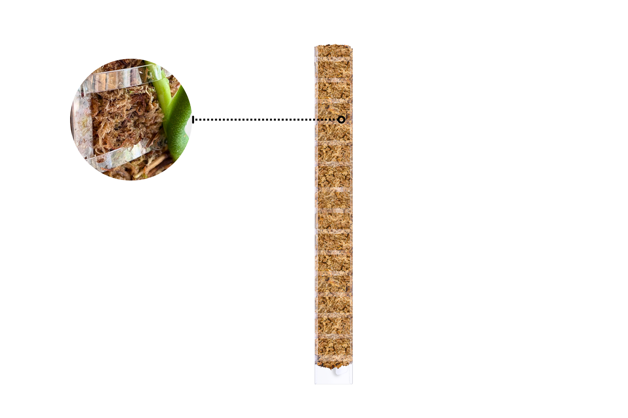 Front Opening D-Shaped Moss Pole – Easy Access Support for Climbing ...