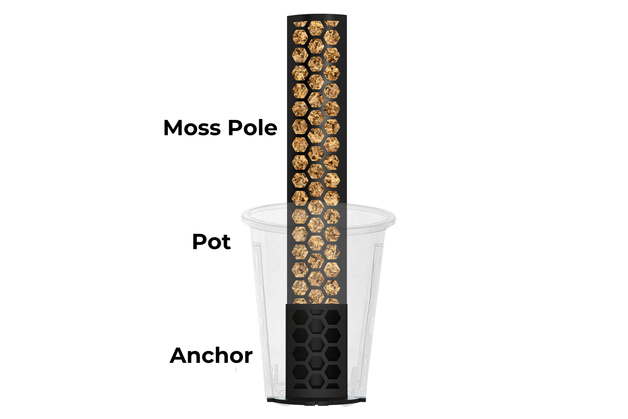 Moss Pole Anchor - Enhance Stability for Climbing Plants | PlantScraper®