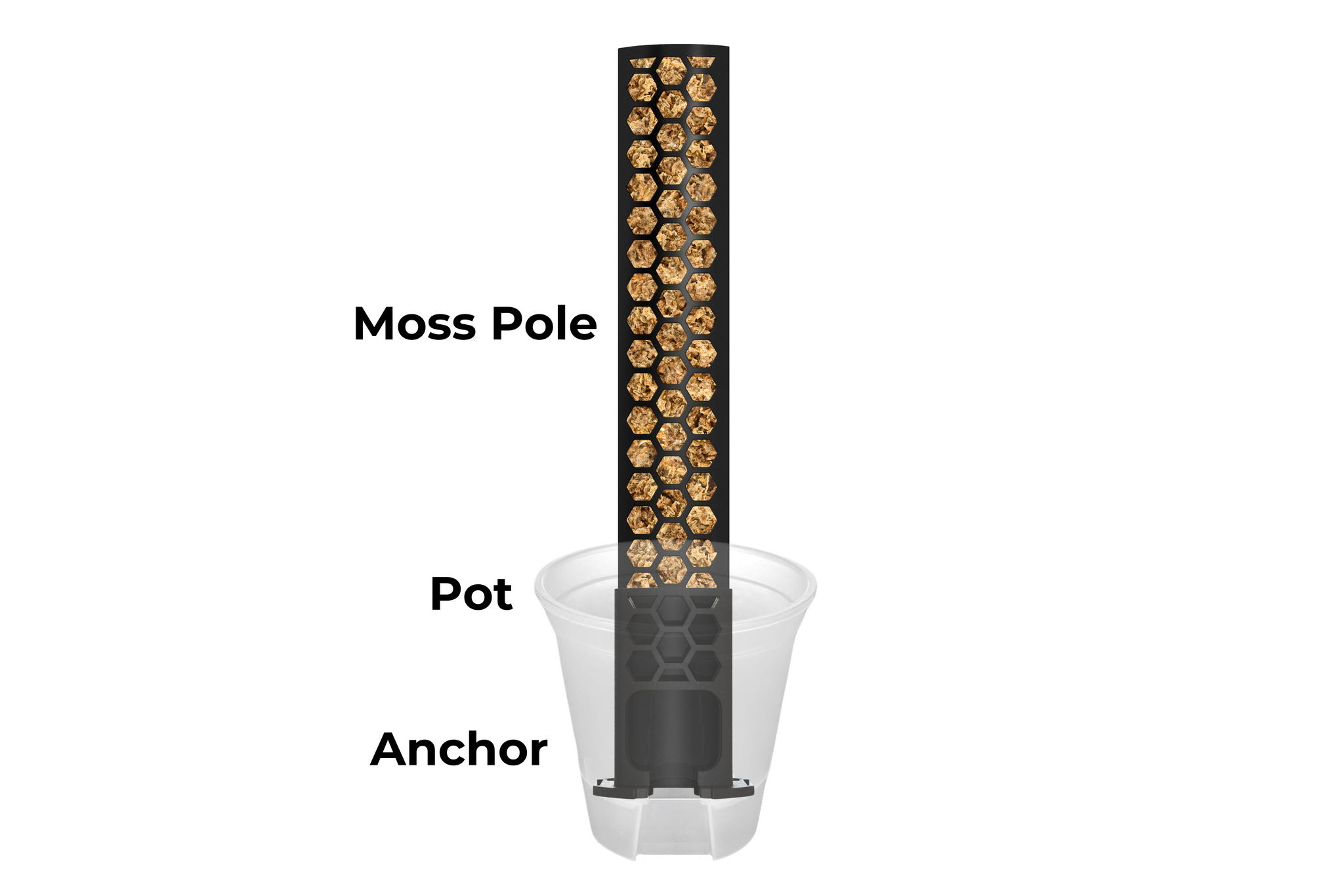 Self-Watering Anchor Set – Stabilize Moss Poles with Integrated Pot and ...