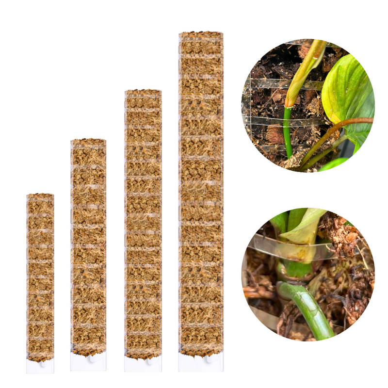 All Indoor Plant Care Products – Moss Poles, Trellises, Pots ...