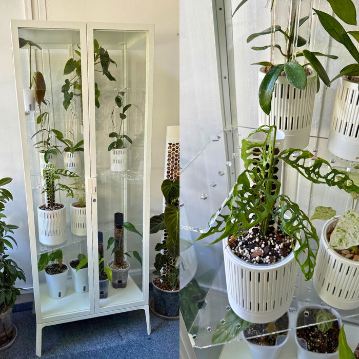 IKEA Greenhouse Milsbo Acrylic Shelf Set | PlantScraper Europe