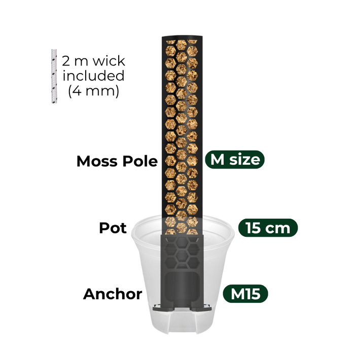 Self-Watering Anchor Set – Stabilize Moss Poles with Integrated Pot and ...