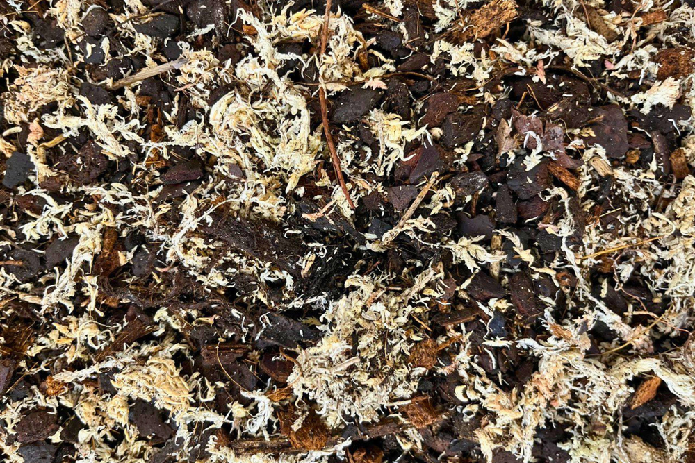 Moss Pole Mix – Premium Support Substrate for Climbing Plants ...