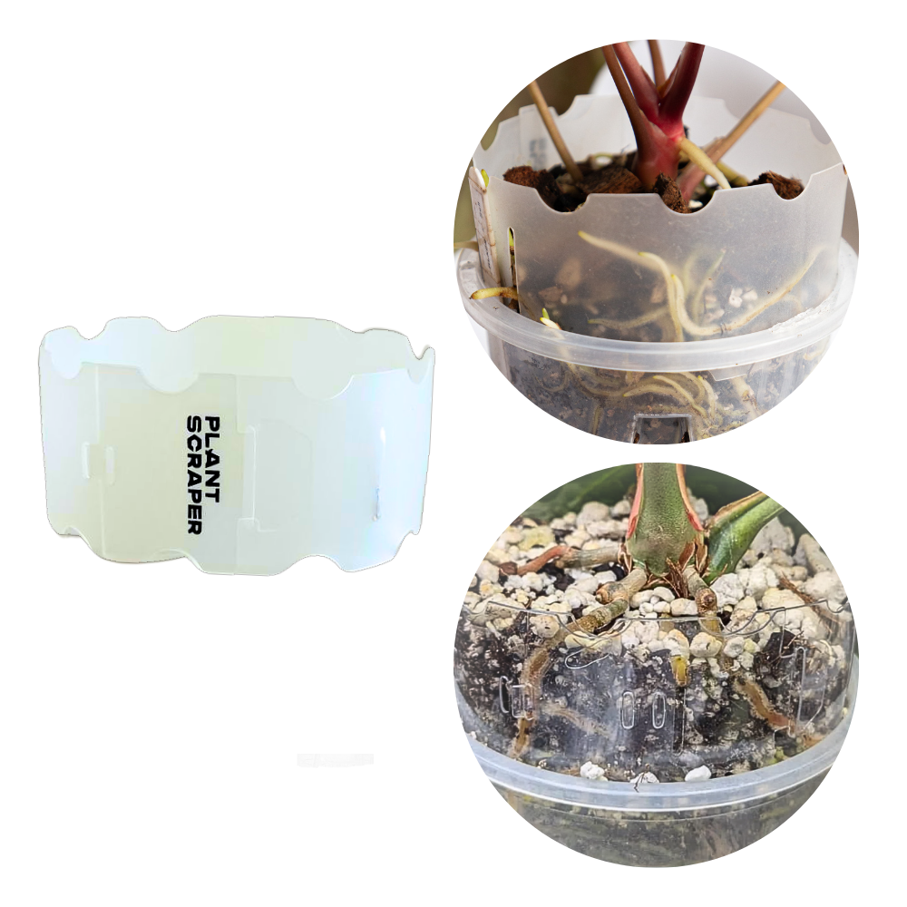 Adjustable Pot Extenders for Anthuriums – Promote Healthy Root ...