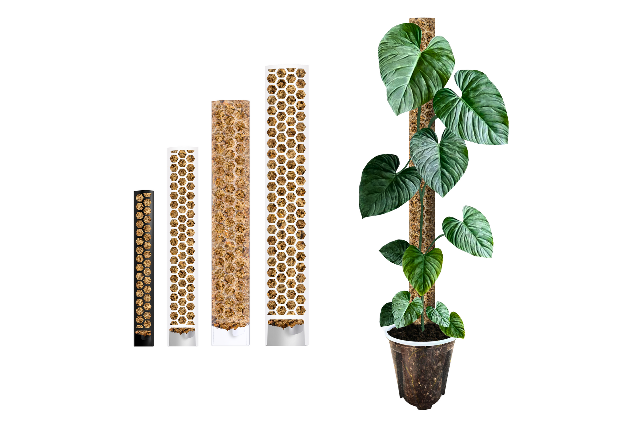 Moss Poles D-Shaped Hexagonal – Stackable Support for Climbing Plants ...