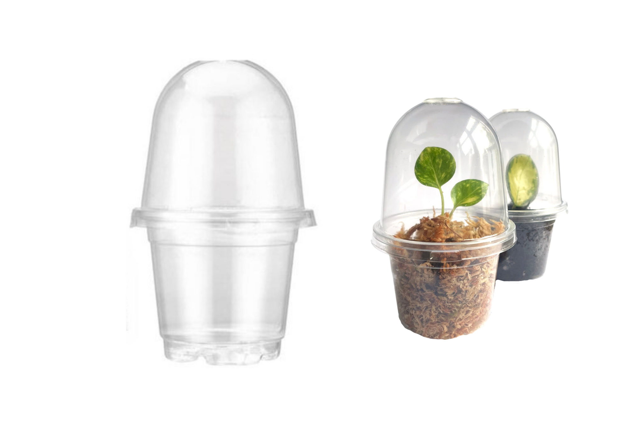 Soft Nursery Propagation Pots – Clear, Flexible Seedling Containers ...