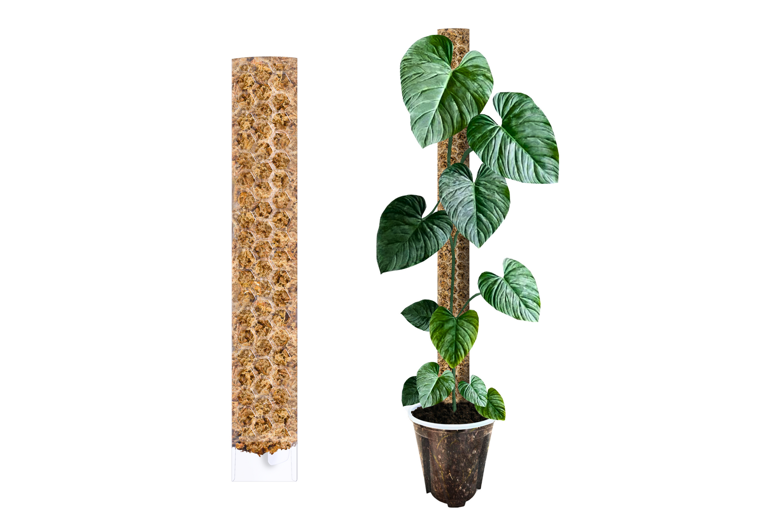 PlantScraper.com - Indoor Plant Supplies ┃Europe