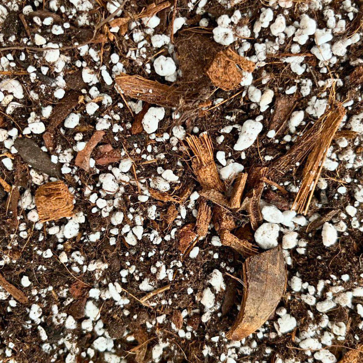 Premium Aroid Mix Ideal Potting Soil for Philodendron Monstera and More PlantScraper