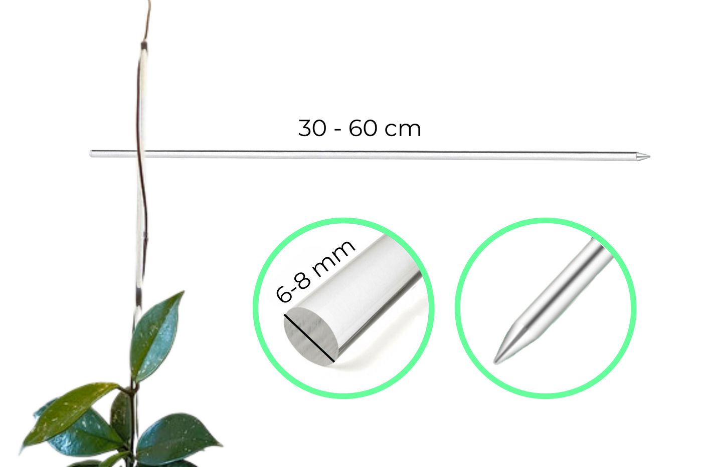 Clear Plant Support Stick – Transparent Stake for Indoor Plant ...