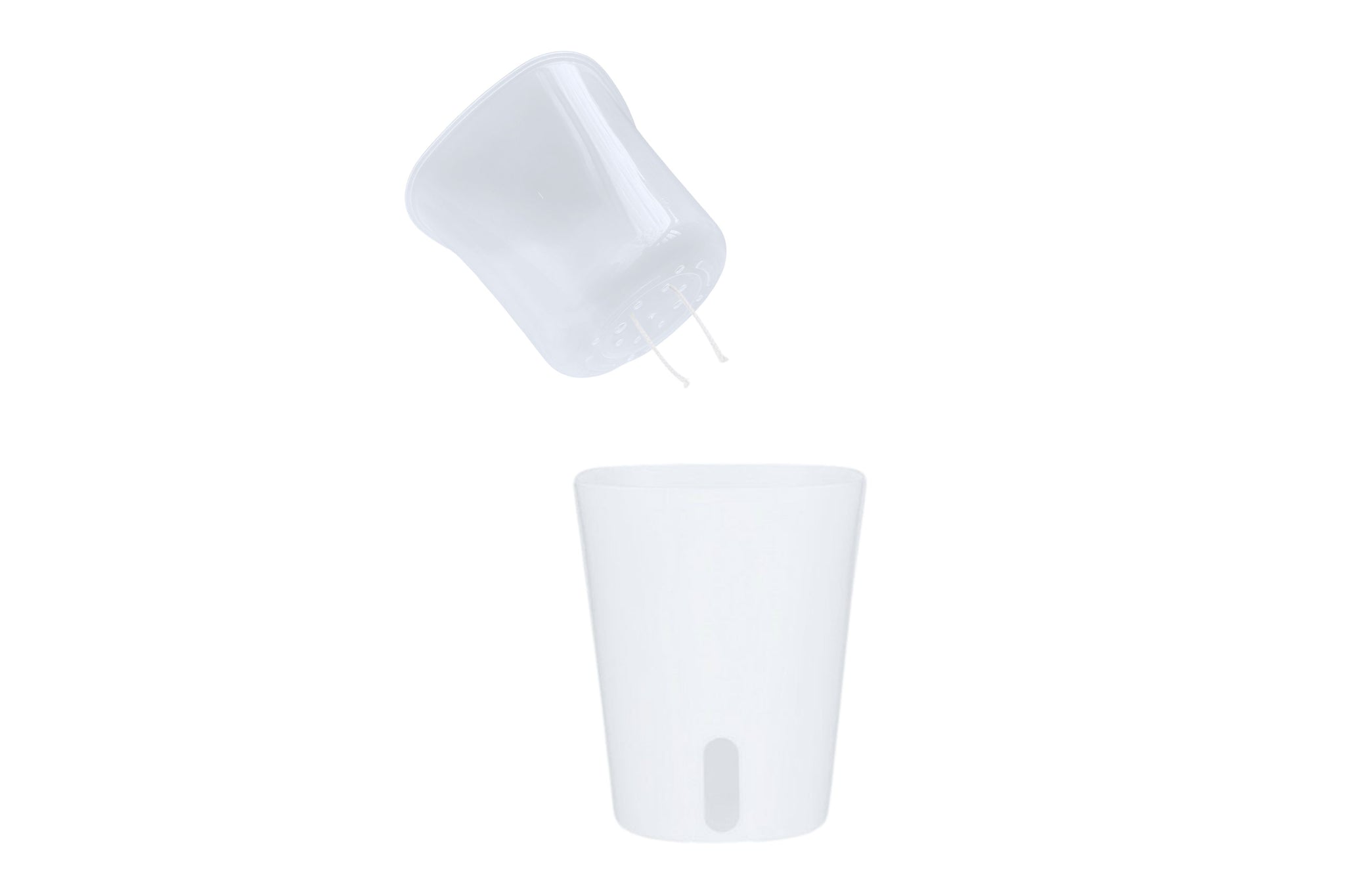 Self-Watering Aroid Pots with Clear Insert – Optimal Hydration and Root ...