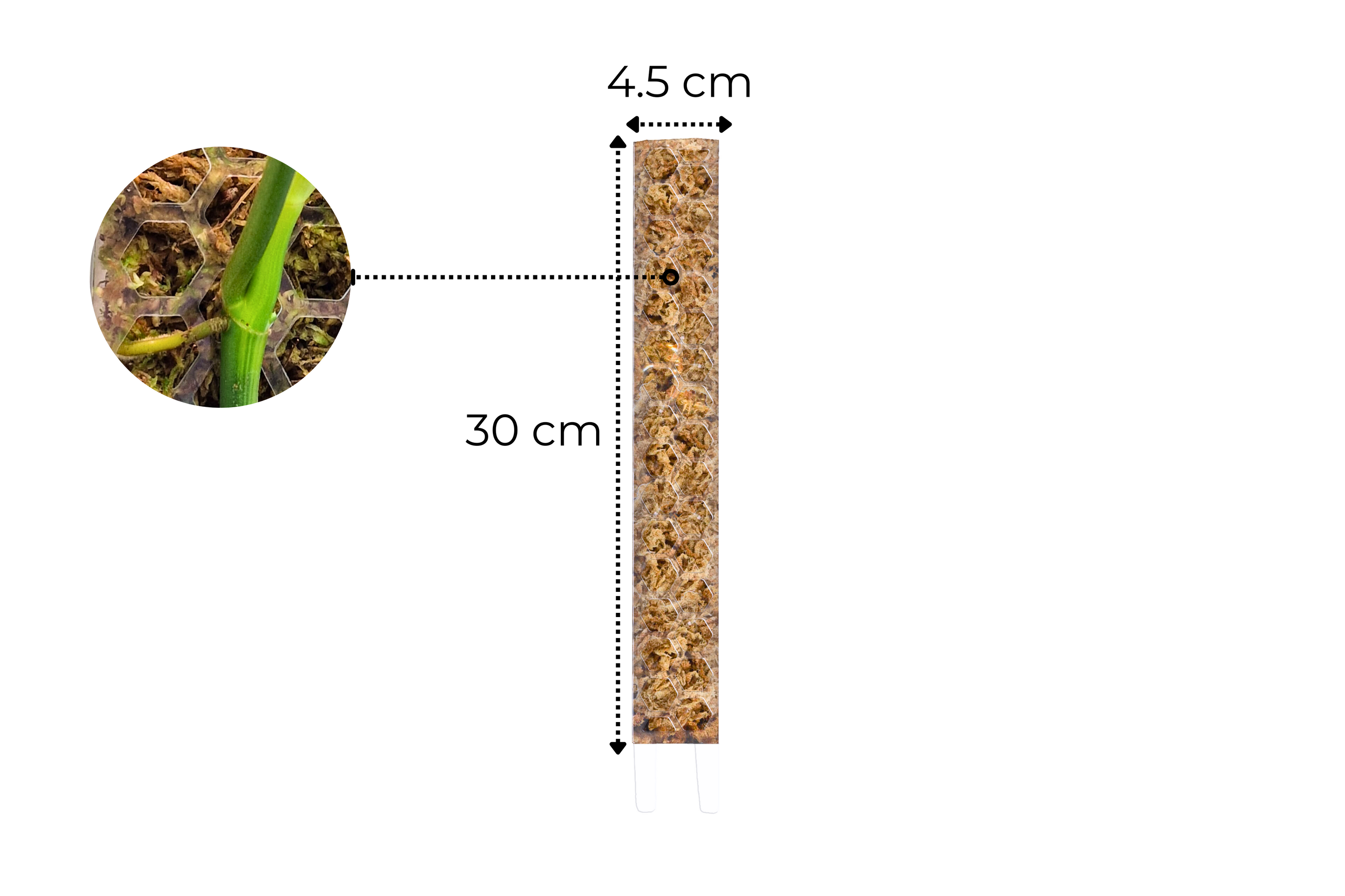 View product page