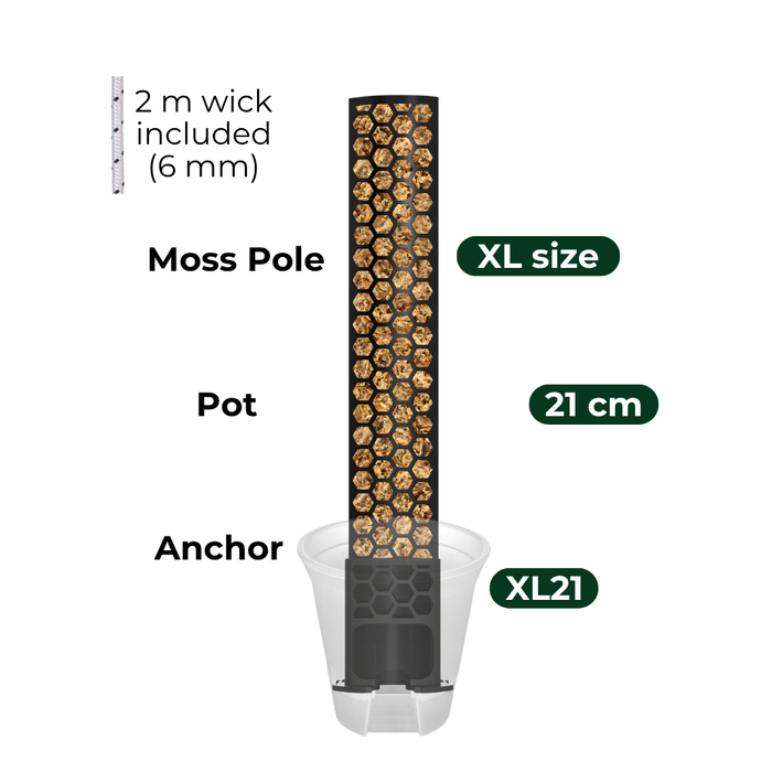 Self-Watering Anchor Set – Stabilize Moss Poles with Integrated Pot and ...